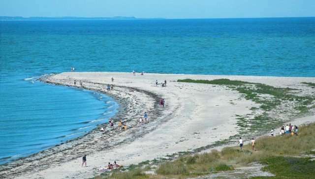 Naturoplevelser på Samsø - Issehoved | visitsamsoe.dk