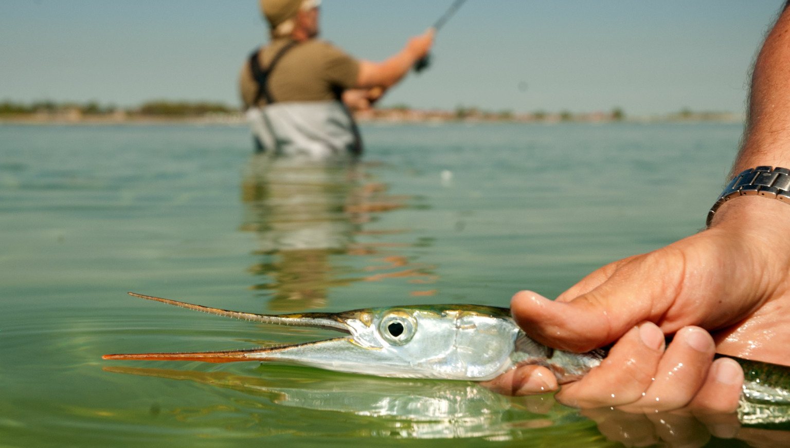 Samsø Labyrinten - verdens største labyrint | visitsamsoe.dk
