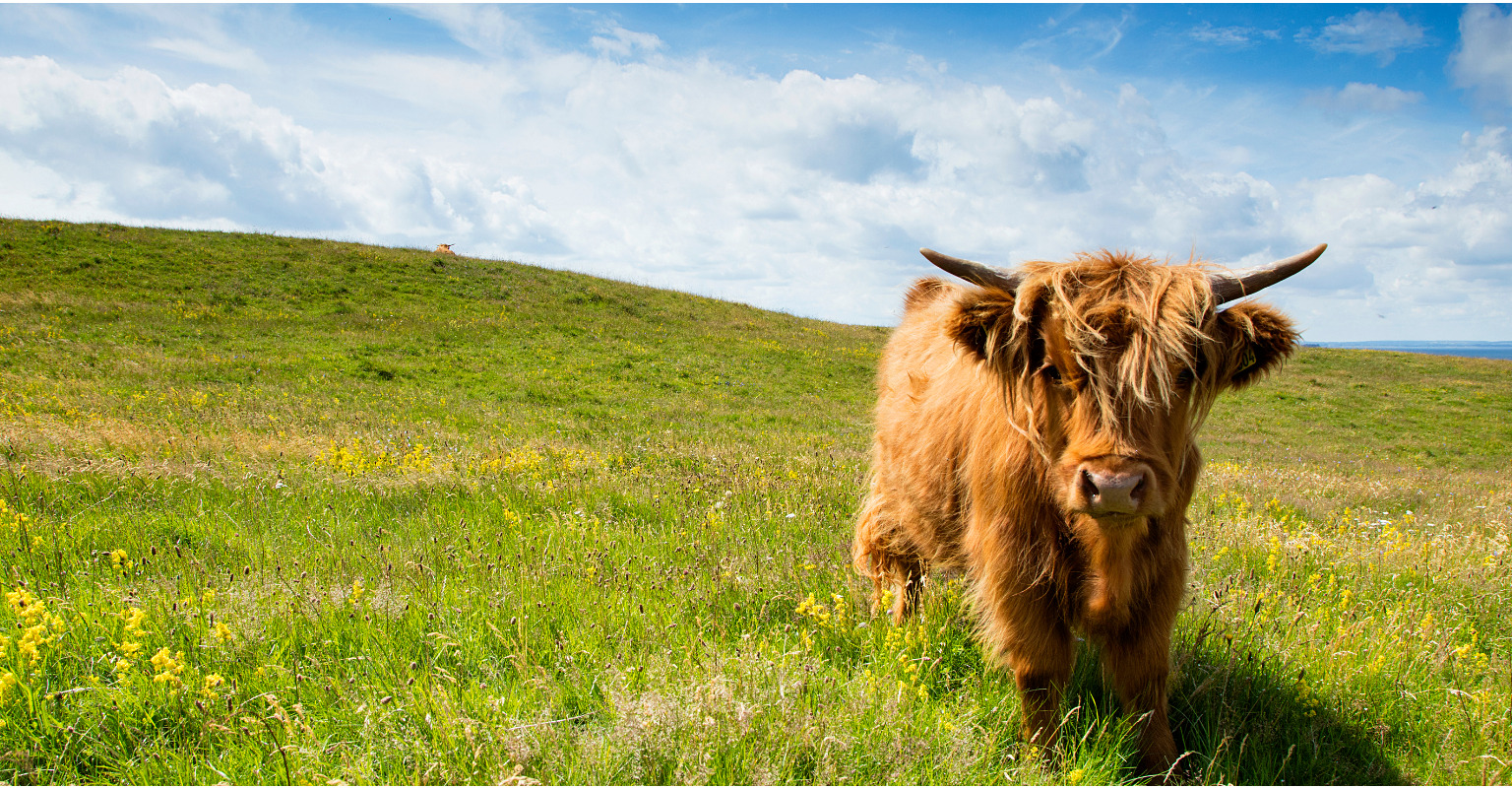 De mytiske kyster | VisitSamsoe.dk