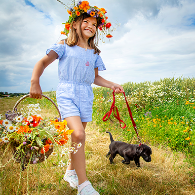 VisitSamsø - your official guide to Samsø | www.visitsamsoe.dk