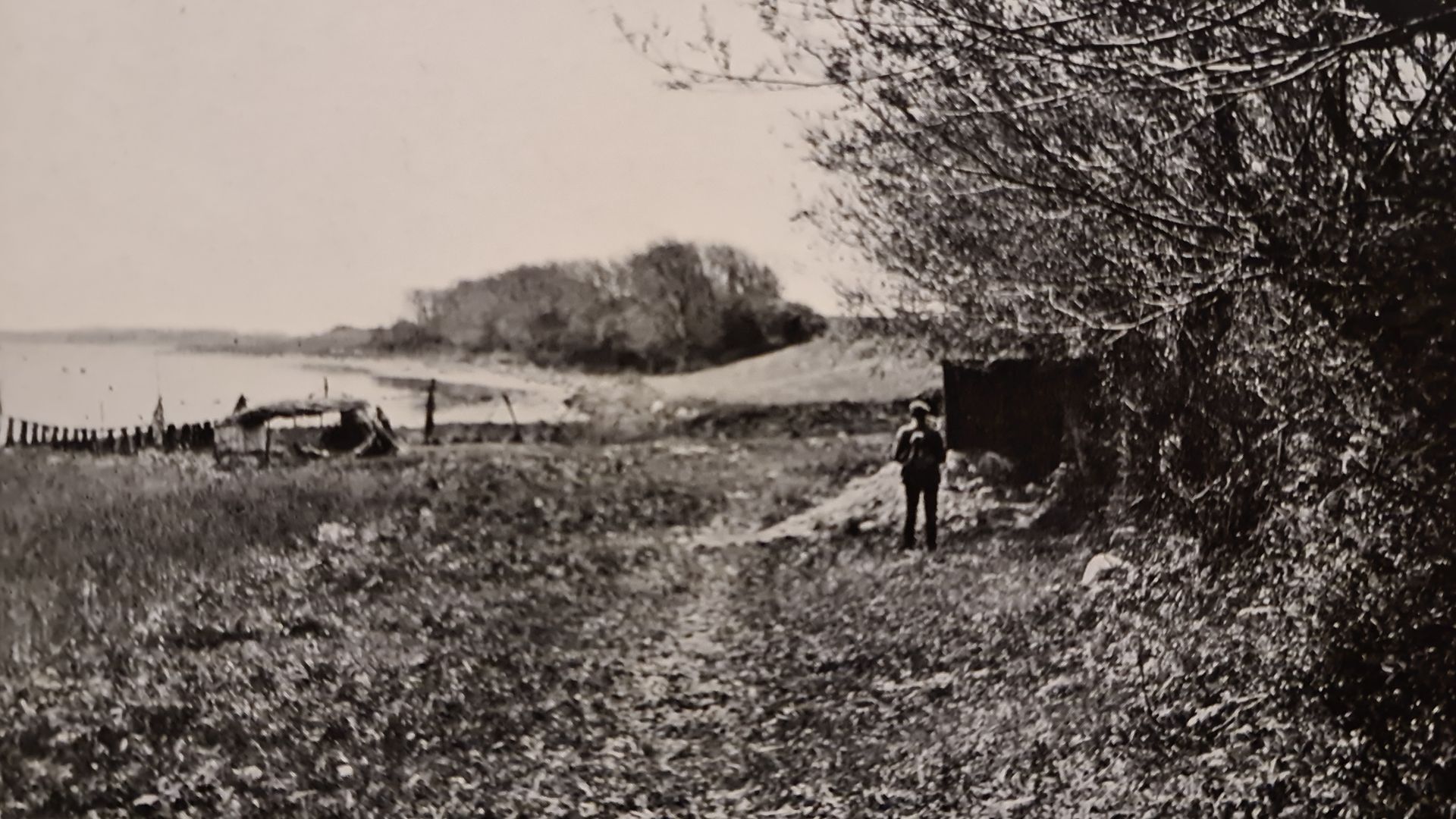 The marvellous, changing coast | VisitSamsoe.dk