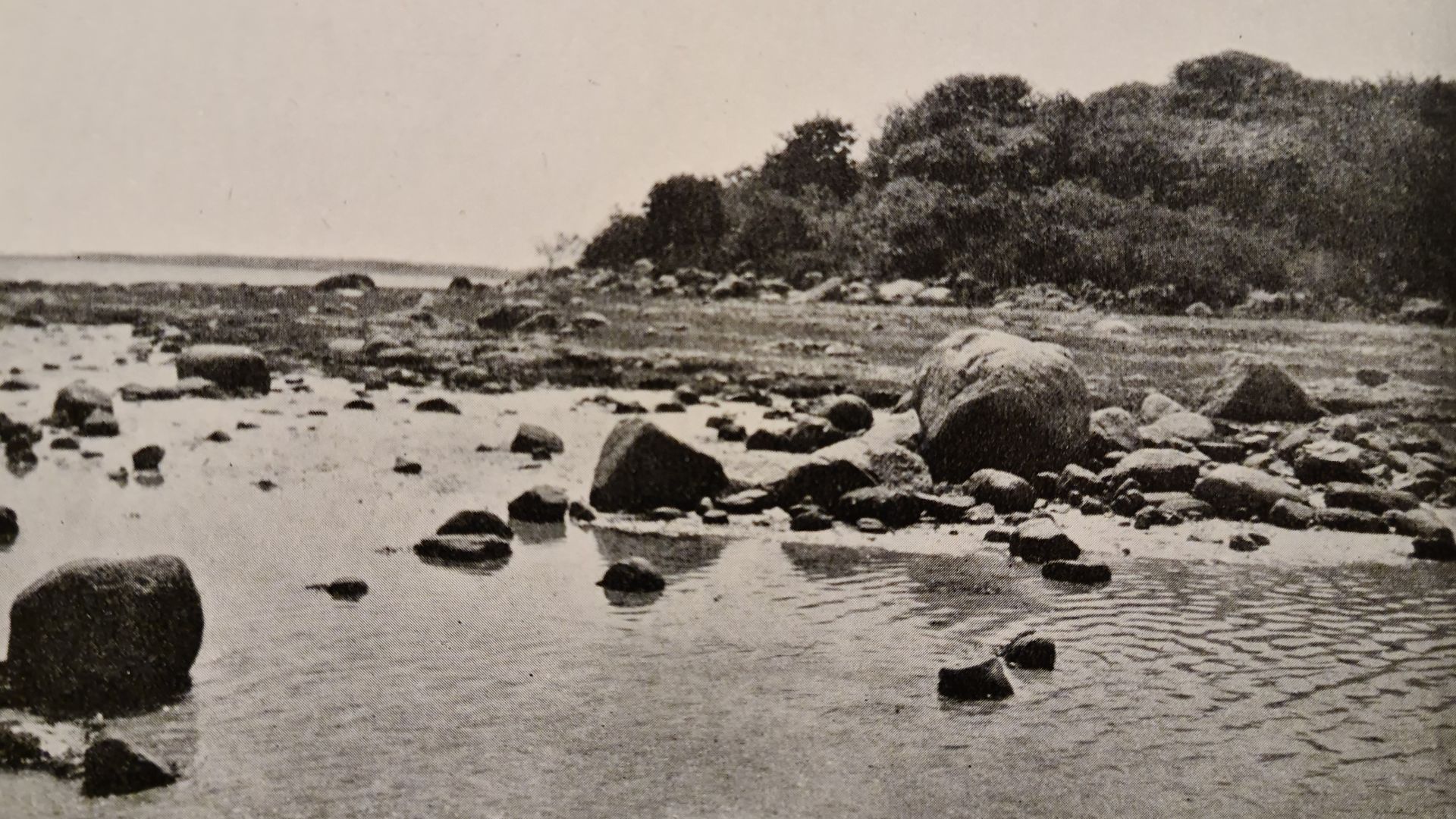 The marvellous, changing coast | VisitSamsoe.dk