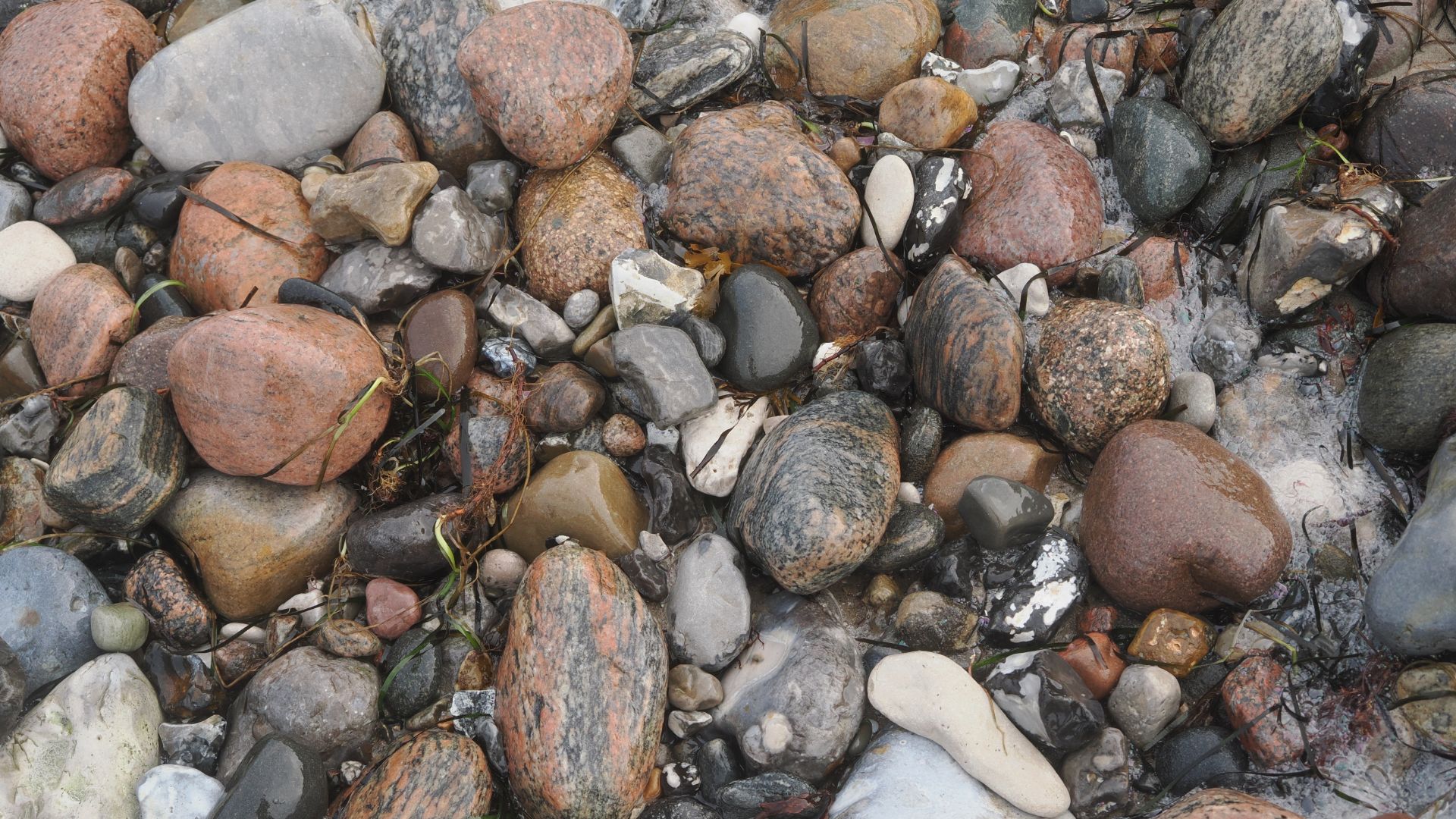 Strandens sten | VisitSamsoe.dk