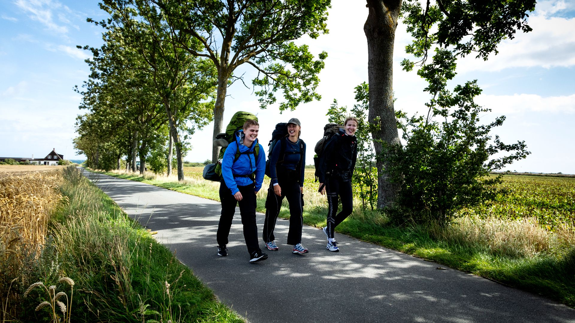Ganz Dänemark war im Gespräch, aber Samsø hatte gewonnen | VisitSamsoe.dk
